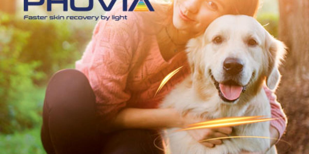 Innovation - New light therapy supports skin recovery in pets | Vetoquinol